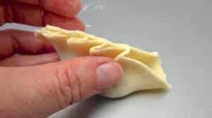 How To Fold Gyoza: Easy step by step! | Simple. Tasty. Good.